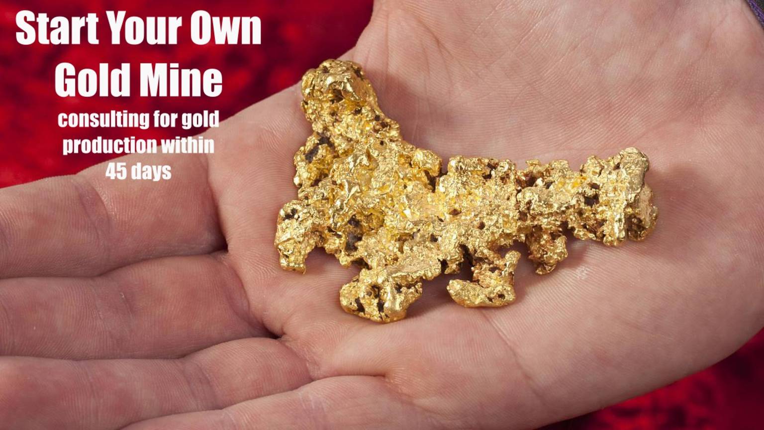 Start Your Own Gold Mine (2) - Your Wealth Plan