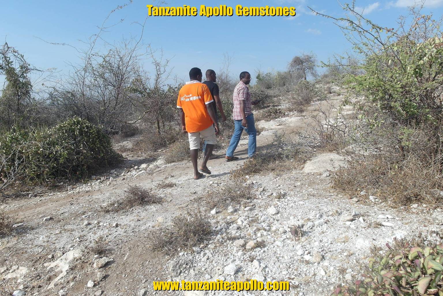 Geological survey on potential Tanzanite mining site